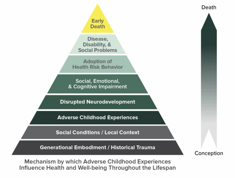 Adverse Childhood Experiences Impact on Long-Term Health: Public Health ...